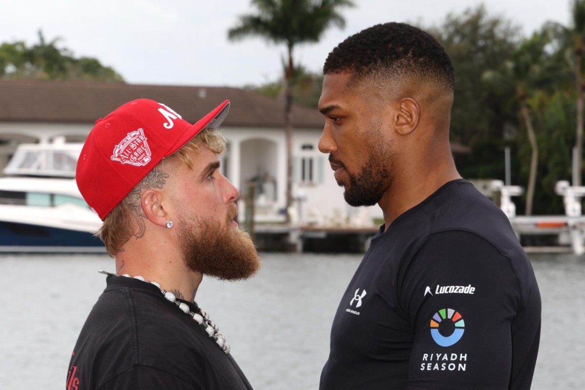 Quel poids fait Anthony Joshua : Les détails